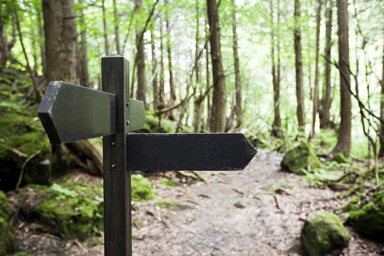 Unveiling Switchbacks in Hiking: Guide to Navigate Terrain